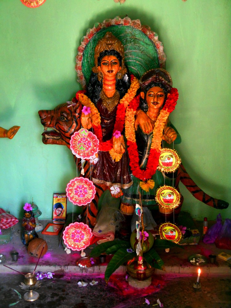 INDIA: TIGER! TIGER!