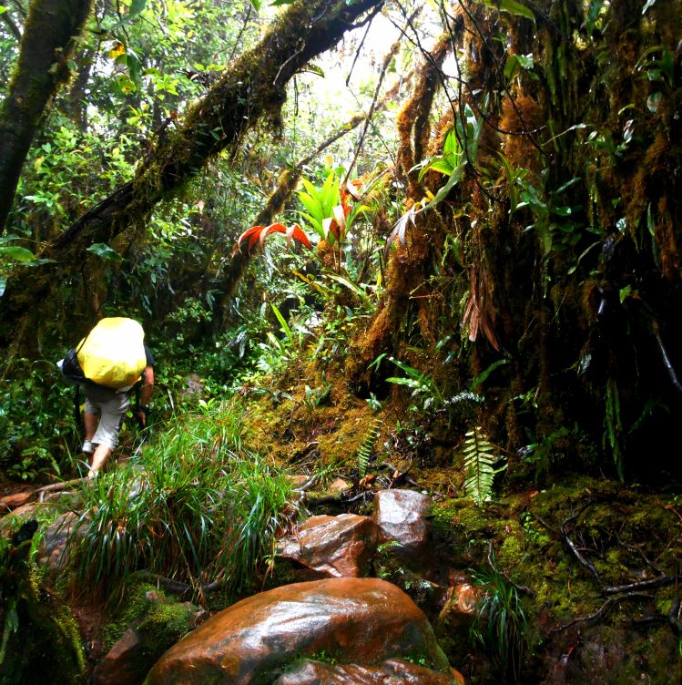 VENEZUELA | THE LOST WORLD